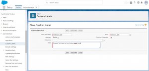 How to Use Custom Label in Salesforce