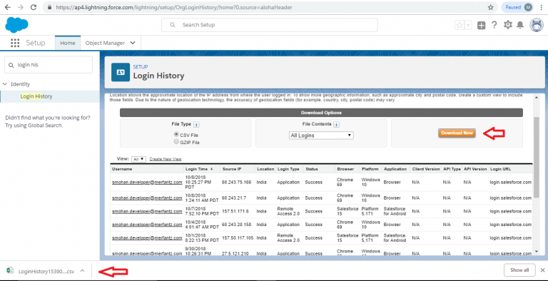 How to Download Login History in Salesforce
