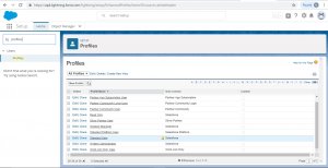 Session Timeout Settings at Profile Level in Salesforce