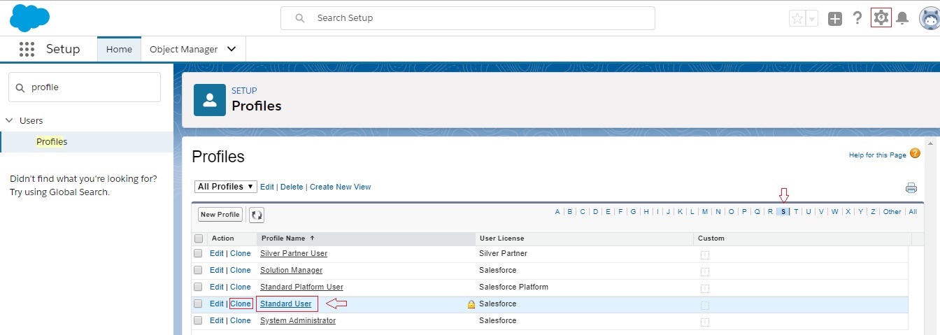 Part II – 2.Profile Setup in Salesforce