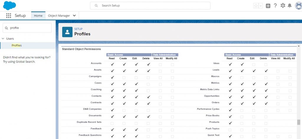 Part Ii 2 Profile Setup In Salesforce