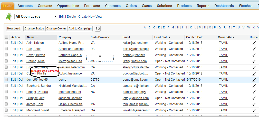 How to create the Web to Lead in Salesforce