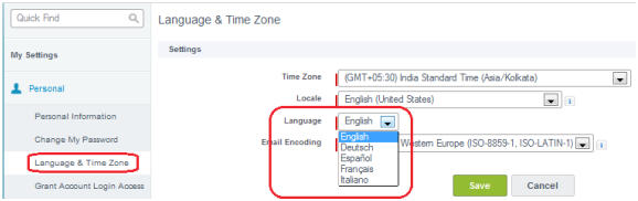 How to Setup the language in Salesforce