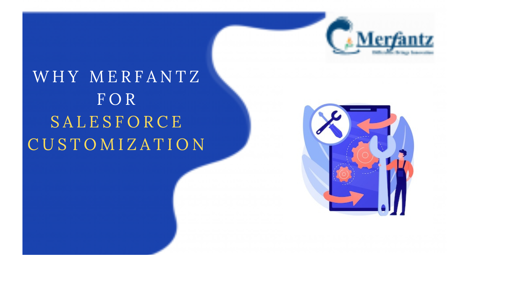 Why Merfantz For Salesforce Customization 0697