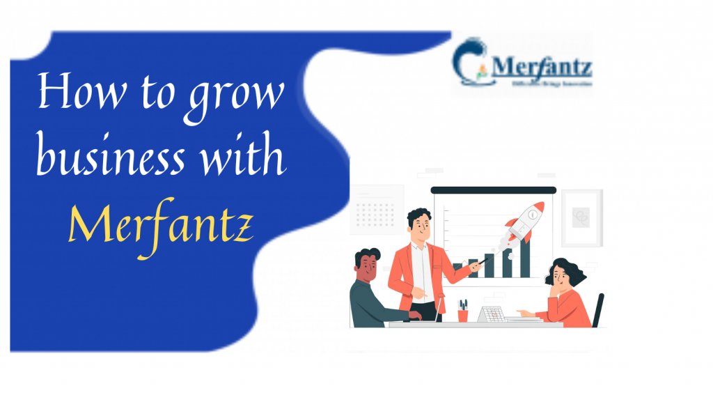 How To Grow Business With Merfantz
