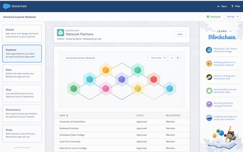 Developing Blockchain Networks on Salesforce Platform