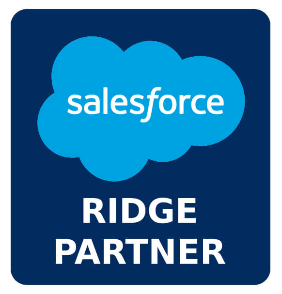 Salesforce Development Benefits | Importance for Businesses